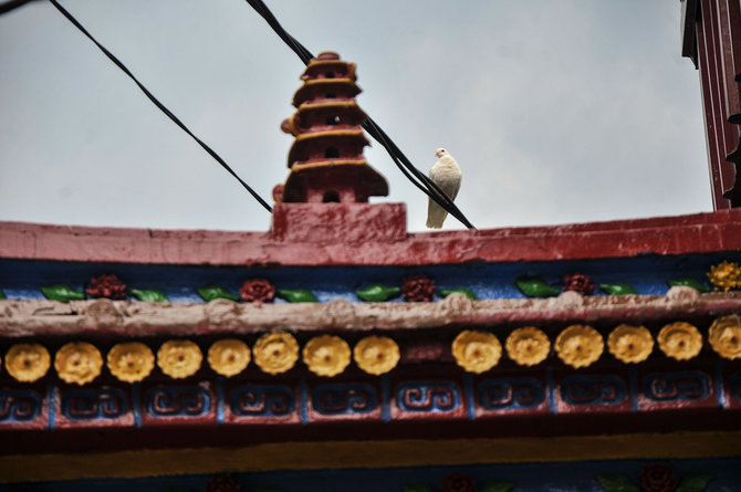 Cerita Duka dari Lorong Wihara | merdeka.com