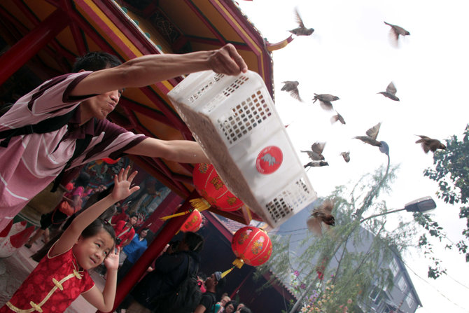 Lepas Burung Jadi Tradisi Imlek Turun Temurun di Banten, Simbol Cinta ...