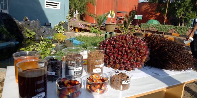 Pengusaha Kelapa Sawit: Indonesia Tidak Takut Kehilangan Eropa | merdeka.com