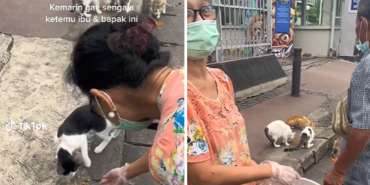 Viral Sepasang Suami Istri Rutin Beri Makan Kucing Jalanan, Capai 300 Ekor Per Hari | merdeka.com