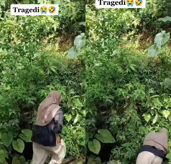 Viral Jembatan Kayu Patah saat Dilewati, Bikin Wanita Ini Terjatuh ...