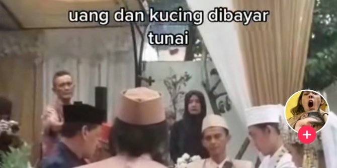 Viral Pasangan Menikah dengan Mahar Kucing, Unik dan Curi Perhatian ...
