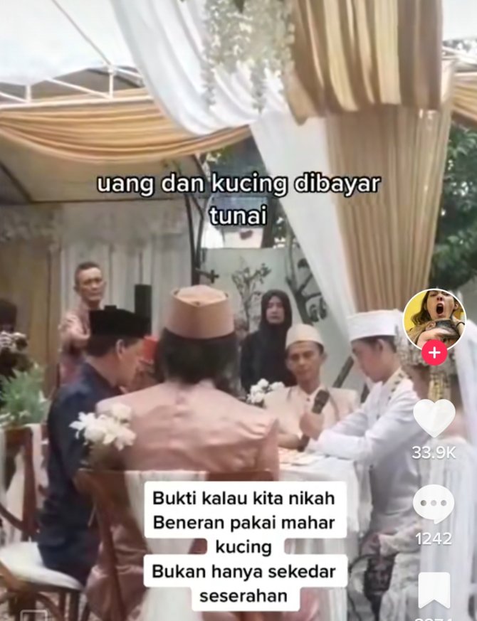 Viral Pasangan Menikah dengan Mahar Kucing, Unik dan Curi Perhatian ...