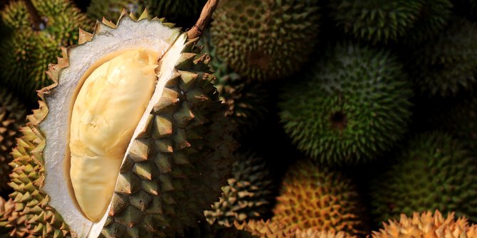 Jenis Durian paling Mahal, Harganya sampai Belasan Juta Rupiah | merdeka.com