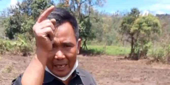 Mengenal Edelweis Rawa, Bunga Langka yang Dirusak Pemotor Trail di ...