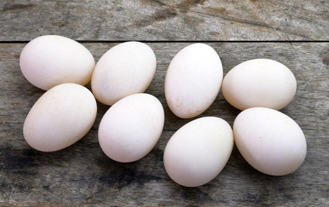 9 Manfaat Telur bagi Kesehatan Tubuh, Bantu Perkembangan Saraf Otak ...