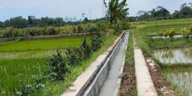 Tingkatkan Produksi, Desa Seberang Kapuas Dapat Bantuan RJIT Kementan ...