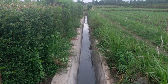 Banyak Kebocoran, Kementan Rehabilitasi Jaringan Irigasi Tersier di Blitar | merdeka.com