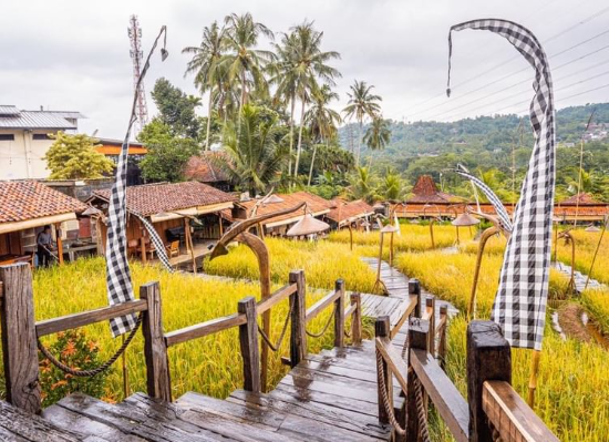 Serasa di Bali, Resto di Bogor Ini Tawarkan Konsep Makan di Tengah Sawah
