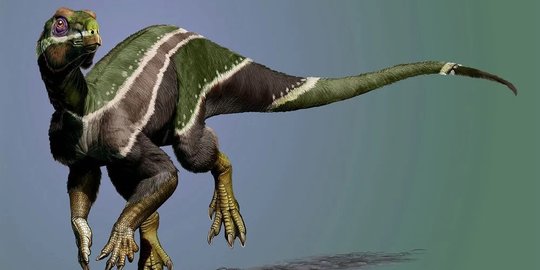 Spesies Baru Dinosaurus Ditemukan, Berparuh Bebek Pemakan Tumbuhan ...