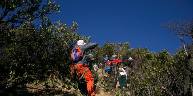 Cocok untuk Pendaki Pemula, Intip Keindahan Gunung Papandayan Garut | merdeka.com