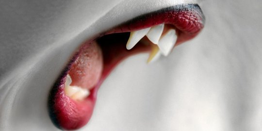 Kisah Wabah Rabies yang Menjadi Inspirasi dari Munculnya Legenda Vampir ...