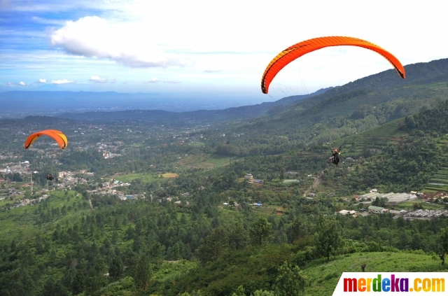 Foto : Uji adrenalin terbang dengan paralayang di Puncak | merdeka.com