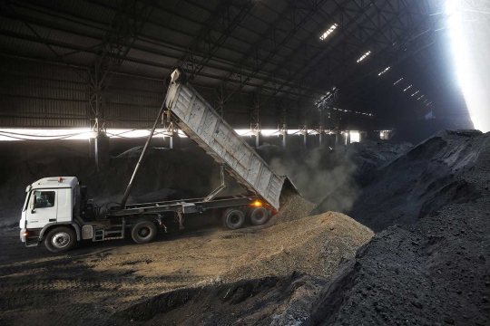 Kotoran Unta Jadi Bahan Bakar Produksi Semen di UEA