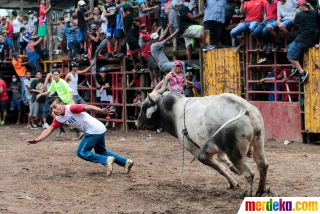 Foto : Bertarung dengan Banteng di Festival Tradisional | merdeka.com