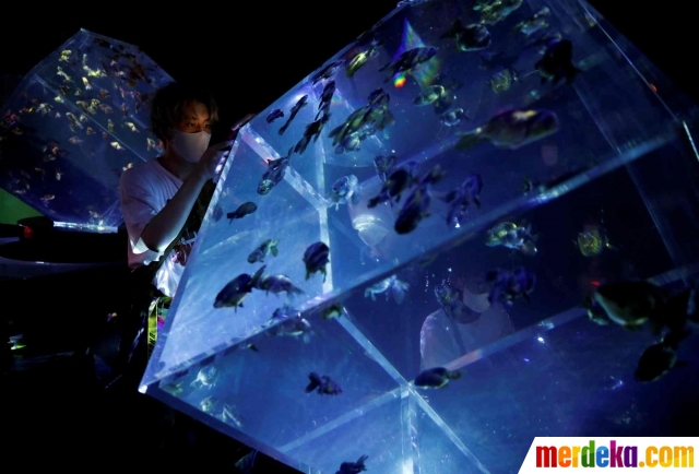 Foto : Mengunjungi Pameran Art Aquarium Museum 2020 | merdeka.com