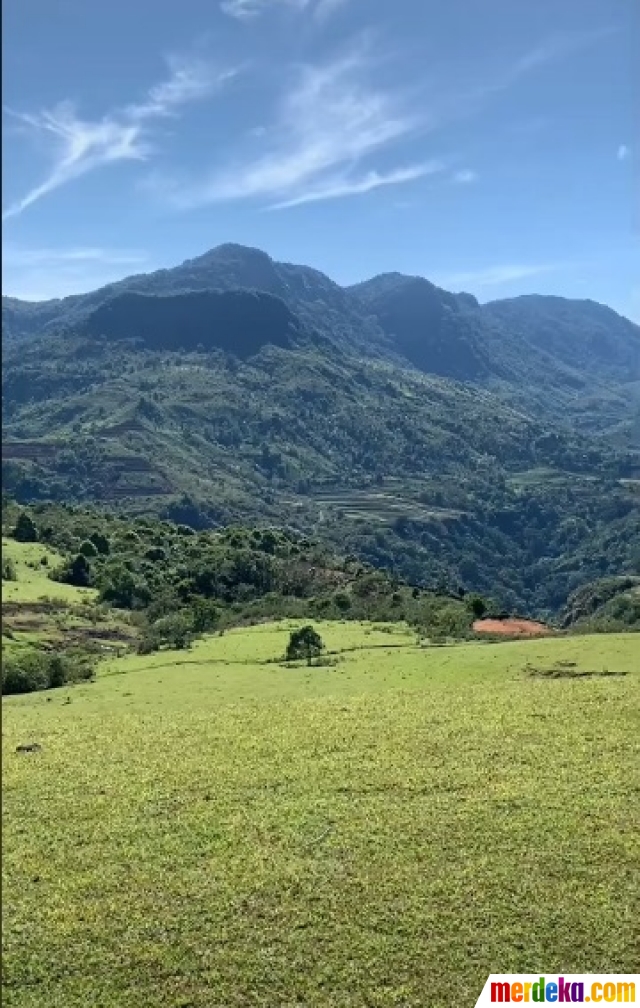 Foto : Potret Padang Rumput Indah di Sulawesi, Pemandangannya Mirip ...