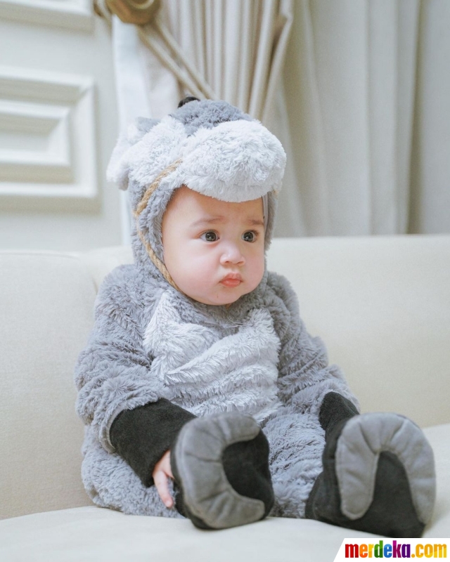 Foto : Makin Hari Makin Gemoy, Potret Rayyanza 'Cipung' jadi Koala ... Foto : Makin Hari Makin Gemoy, Potret Rayyanza 'Cipung' jadi Koala ...