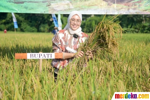 Foto : Potret Cantik Anne Ratna Mustika, Bupati Purwakarta yang Gugat Cerai Dedi Mulyadi ...