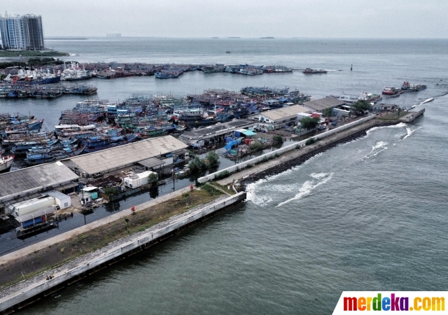 Foto : Waspada Banjir Rob di Pesisir Jakarta hingga Akhir Tahun | merdeka.com