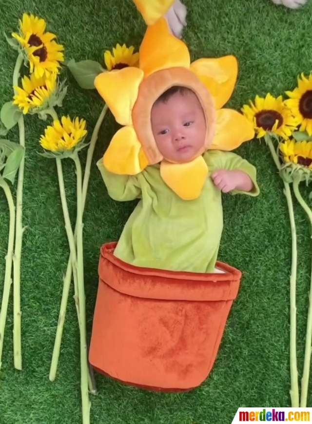 Foto : Genap 2 Bulan, Potret Gemas Baby Timothee saat Lakukan Sesi Foto ...