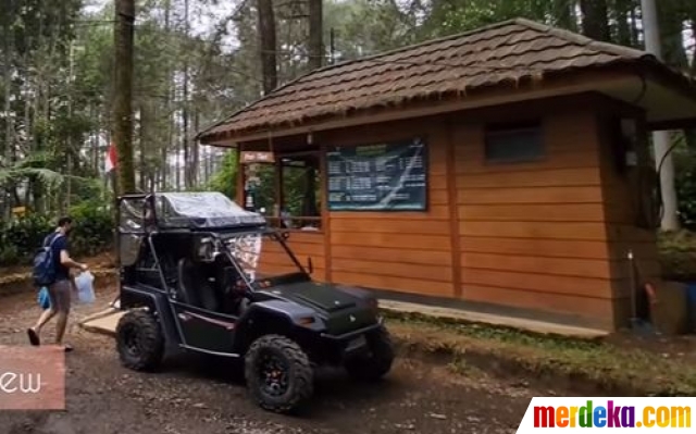 Foto : Potret Penginapan Unik & Estetik di Tengah Hutan Pinus Bak ...