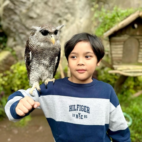 Foto : Deretan Foto Muhammad Ali Anak Mulan Jameela yang Menginjak 6 ...