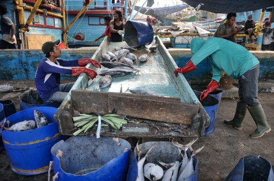 Foto : KKP Target Ekspor Perikanan Indonesia 2023 Tembus USD 7,66 M | merdeka.com