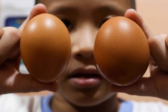 Foto : Ini Penyebab Harga Telur Ayam Makin Mahal, di Jabodetabek Tembus ...