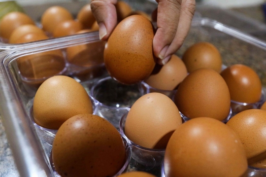 Foto : Ini Penyebab Harga Telur Ayam Makin Mahal, di Jabodetabek Tembus ...