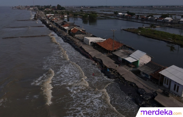 Foto : Potret Desa Cemara Jaya di Karawang Terancam Tenggelam Akibat ...