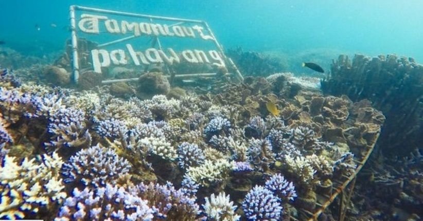 Kisah Pulau Pahawang Lampung hingga Menjadi Tempat Wisata - KRSUMSEL.COM