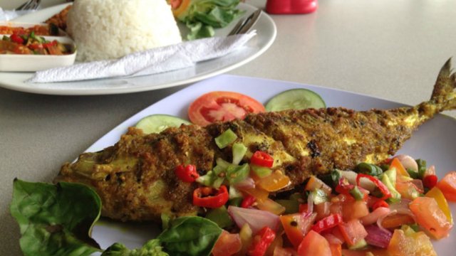 Ikan Tude, suguhan khas Sulawesi ada di Bandung | Berita Terkini, Kabar ...