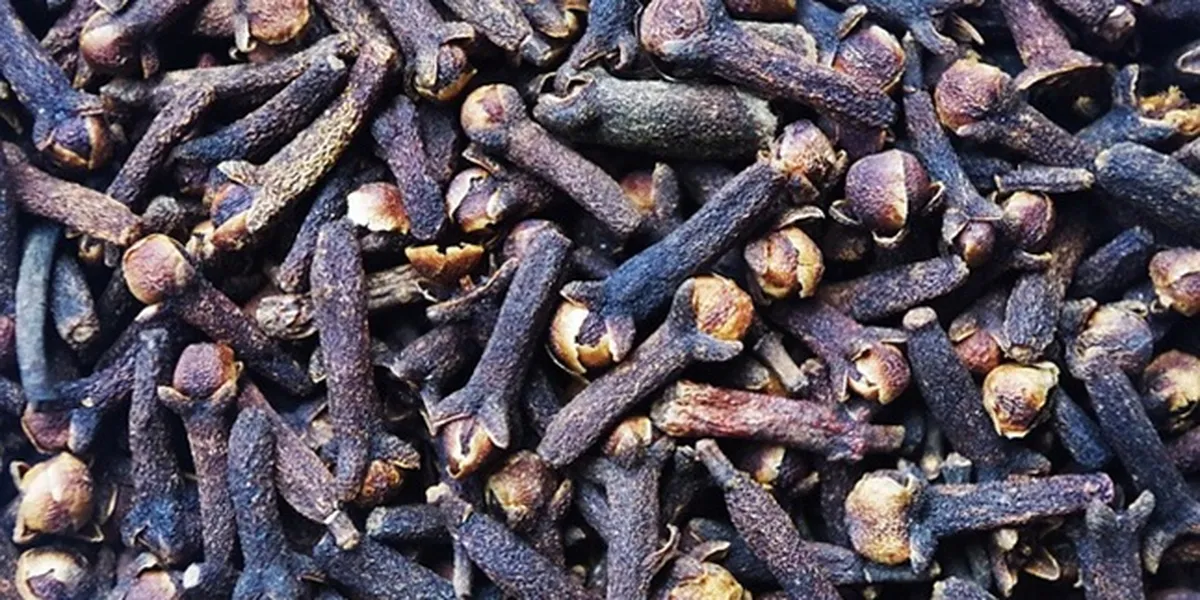 10 Manfaat Cengkeh untuk Kesehatan, Mampu Tingkatkan Kekebalan Tubuh ...