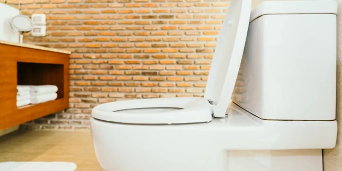 6 Cara Mengatasi WC Mampet di Rumah, Mudah Tanpa Bongkar - KapanLagi.com