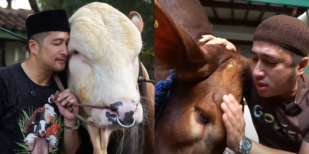 6 Sapi Kurban Irfan Hakim, Selain Janoko Siapa yang Bikin Kamu Nangis ...