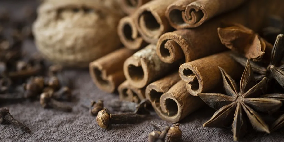 8 Jenis Tanaman Obat Paling Populer Beserta Khasiatnya, Bisa Ditanam ...
