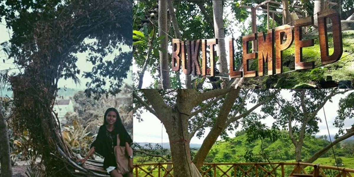 Bukit Lemped Menawarkan Sensasi Makan di Atas Pohon - KapanLagi.com