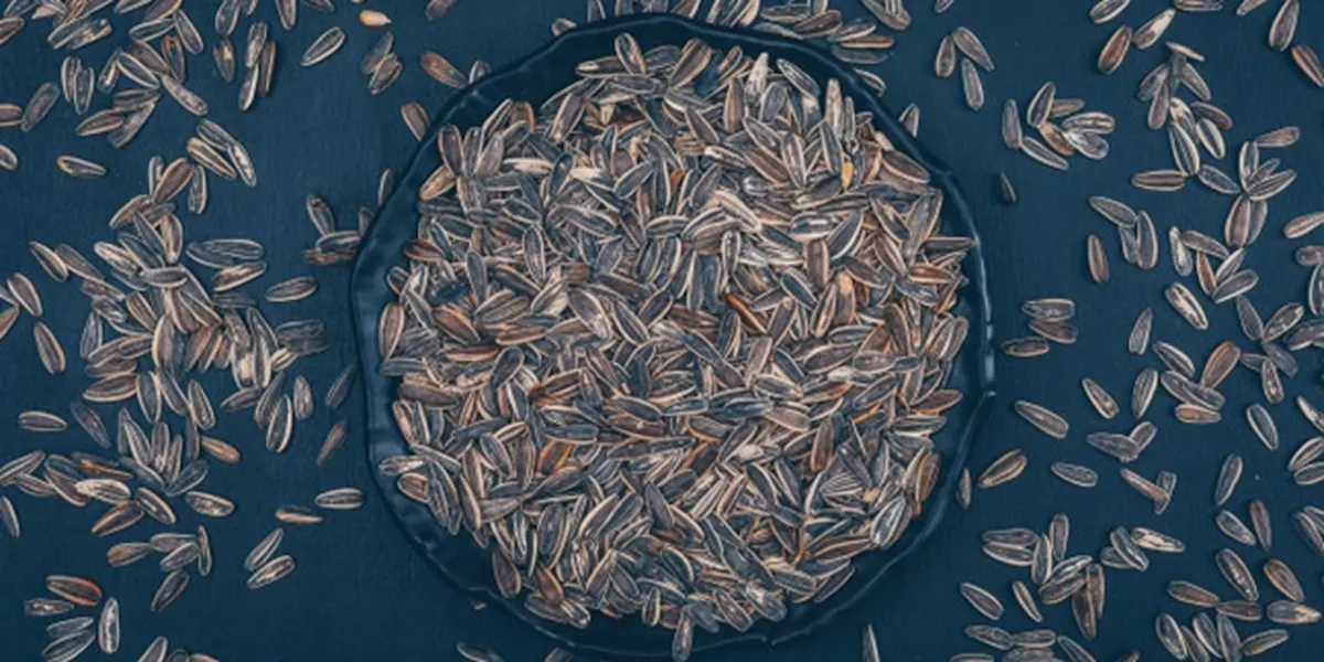 Camilan Sehat, Ini 12 Manfaat Kuaci Bagi Kesehatan yang Jarang ...