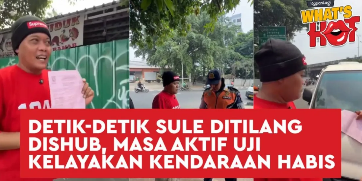 Kronologi Sule Ditilang Oleh Petugas Dinas Perhubungan Saat Operasi ...
