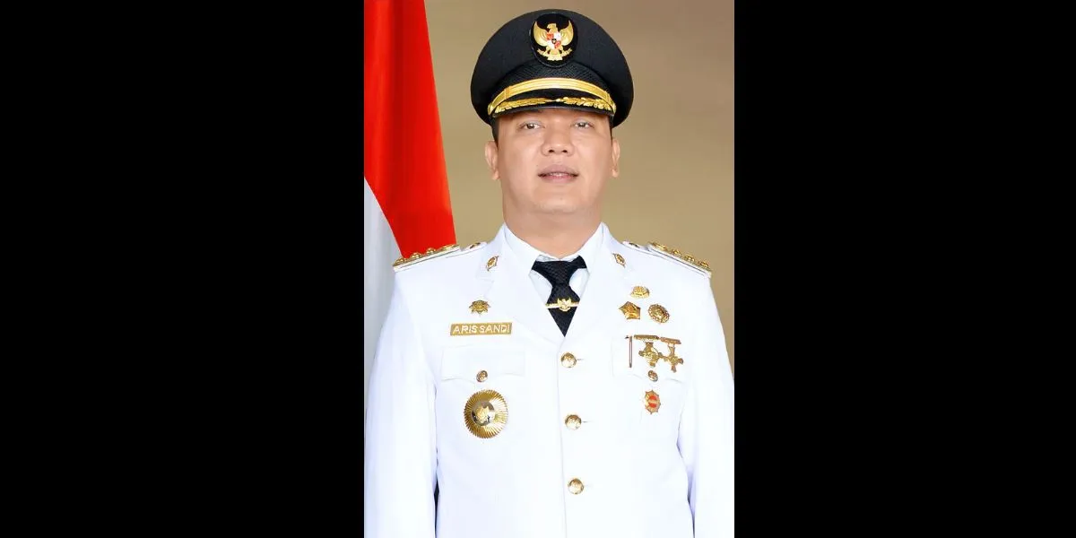 Nasib Aries Sandi Darma Putra di Pilbup Pesawaran Terganjal Karena Tak Penuhi Syarat Ijazah SMA ...