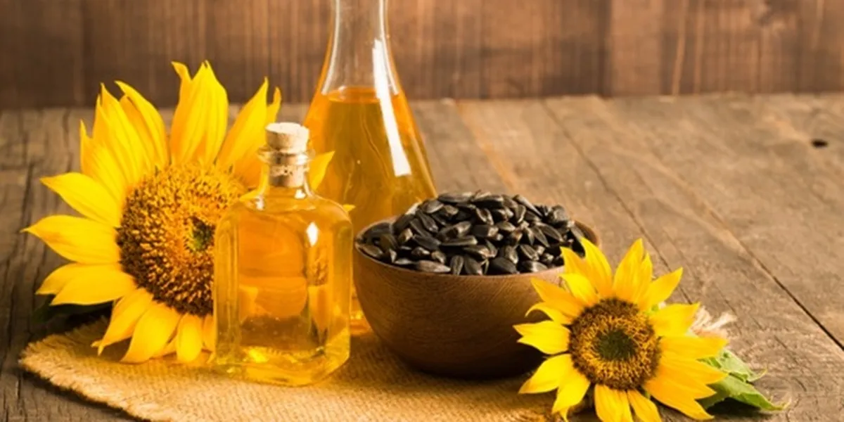Ternyata Ini 12 Manfaat Bunga Matahari yang Belum Banyak Orang Tahu ...