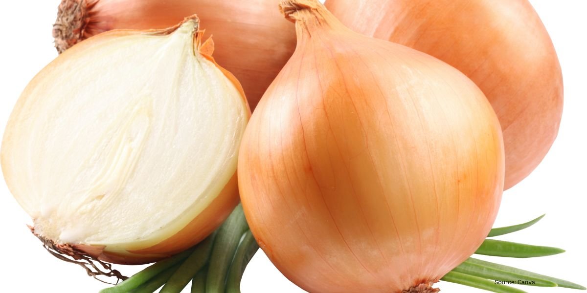 Tips Menyimpan Sisa Bawang Bombay dengan Hasil Awet dan Segar ... Tips Menyimpan Sisa Bawang Bombay dengan Hasil Awet dan Segar ...