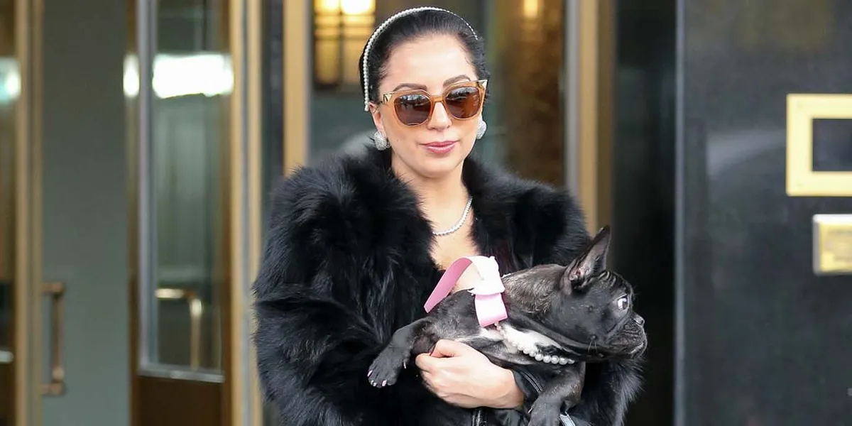 Wow! Kamu Nggak Akan Nyangka Lady Gaga Bisa Bergaya Asyik Seperti ... Wow! Kamu Nggak Akan Nyangka Lady Gaga Bisa Bergaya Asyik Seperti ...