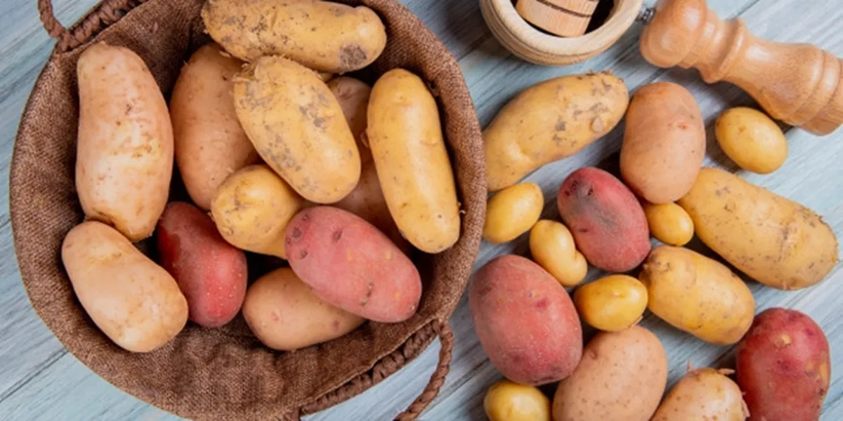 15 Jenis Umbi-Umbian yang Ada di Indonesia, Sudah Sulit Ditemukan ...