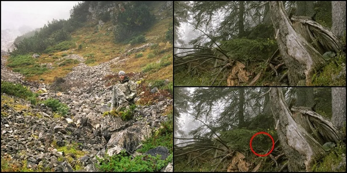 Bisakah Kamu Temukan Sosok Tersembunyi di Foto Ini? - KapanLagi.com Bisakah Kamu Temukan Sosok Tersembunyi di Foto Ini? - KapanLagi.com