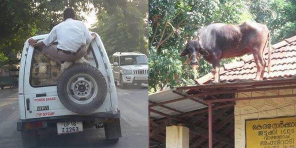 FOTO: 9 Hal Unik & Aneh Ini Hanya Ada di India, Bikin Ngakak ... FOTO: 9 Hal Unik & Aneh Ini Hanya Ada di India, Bikin Ngakak ...