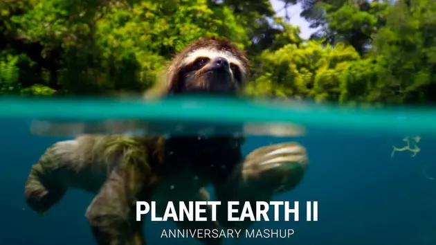 Rekomendasi Film Dokumenter Alam dan Fantasi yang Memanjakan Mata ...