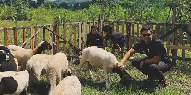 7 Photos of Ayudia Bing Slamet's Sheep Farm in Klaten, Beautiful View ...