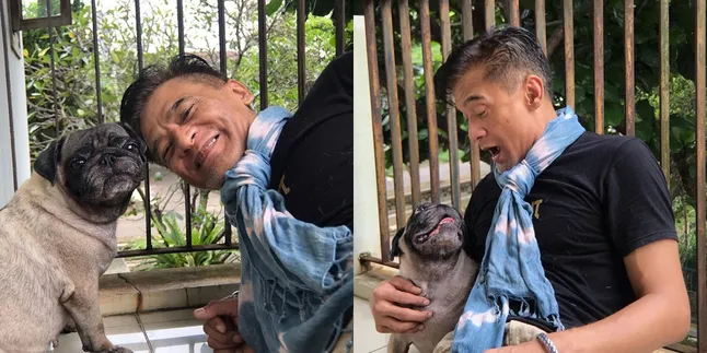 7 Latest Photos of Donny Damara, a Senior Actor who becomes Handsome ...